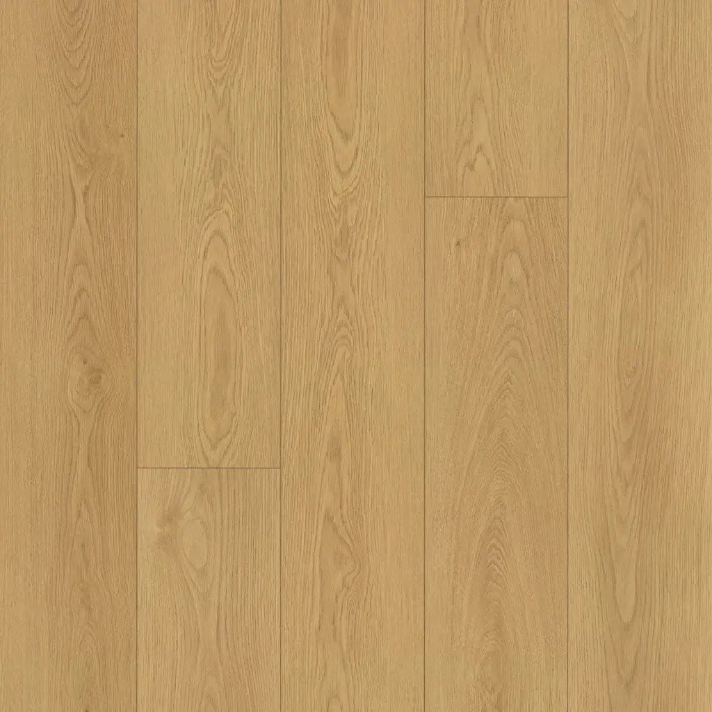 Embelton 8mm Laminate - Arbor – Buy Timber Flooring Online