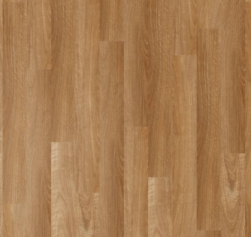 Apollo 1500 - Spotted Gum – Buy Timber Flooring Online