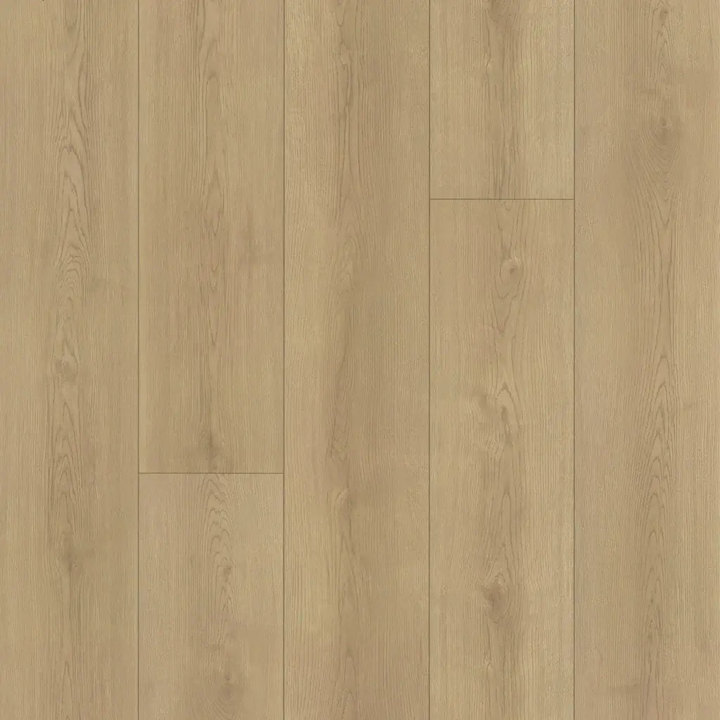 Embelton 8mm Laminate - Solace – Buy Timber Flooring Online