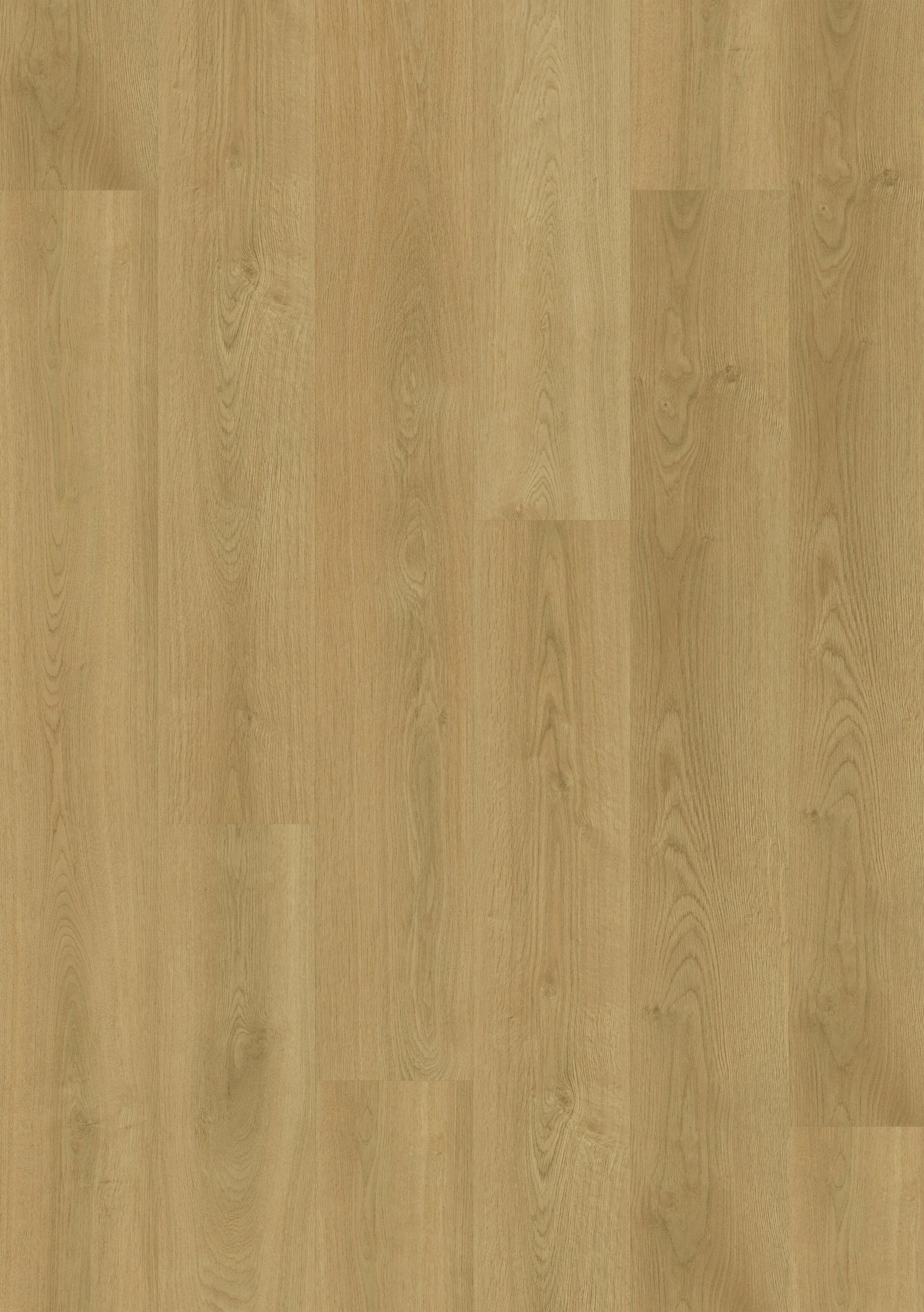 Titan Hybrid - Native Oak – Buy Timber Flooring Online